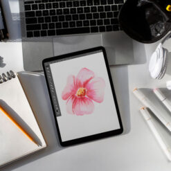 Understanding USB Hubs: The Backbone of USB Connectivity - Coolgear